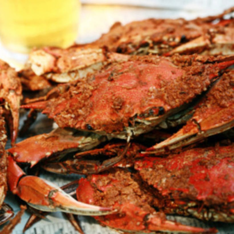Maryland Steamed Crab Kit - Premium Size by Harbour House Crabs - Goldbelly
