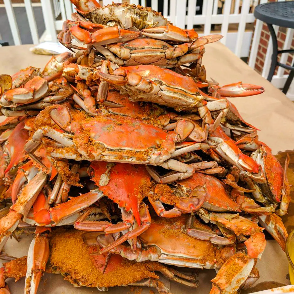 Female Blue Crabs
