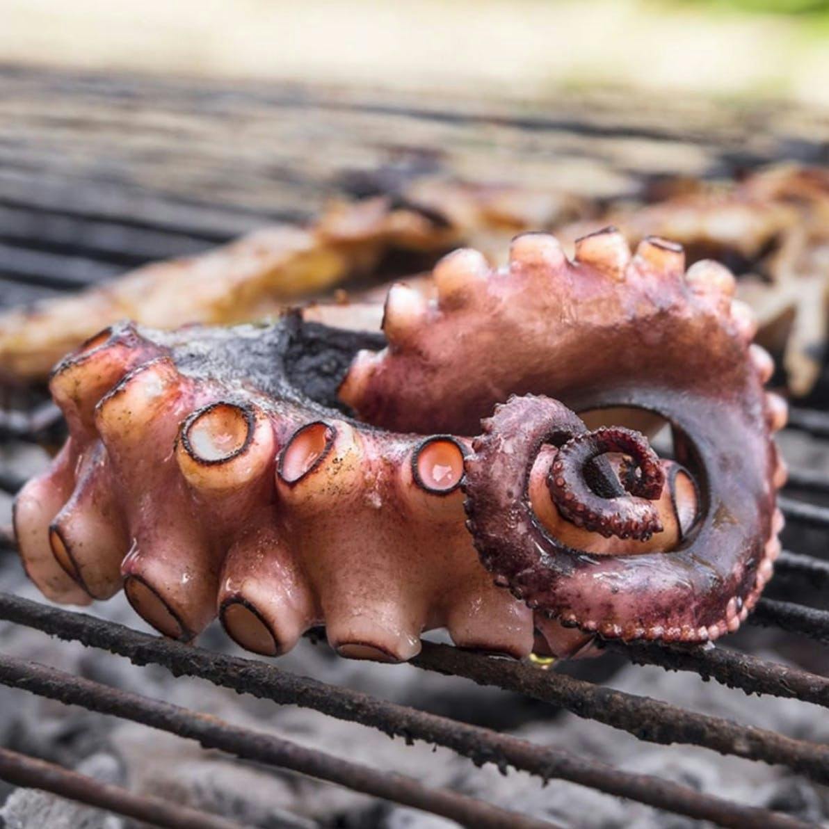 Cooked Octopus Legs--2 Pack by Gullo Octopus | Goldbelly