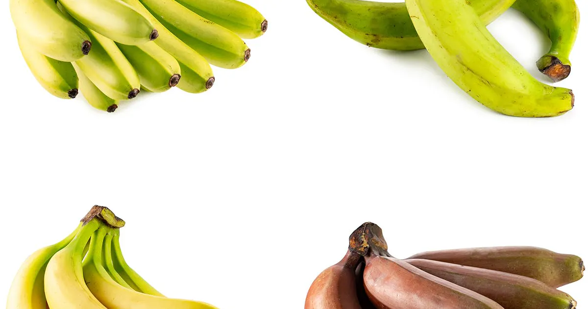 Banana Sampler by Melissa's Produce | Goldbelly