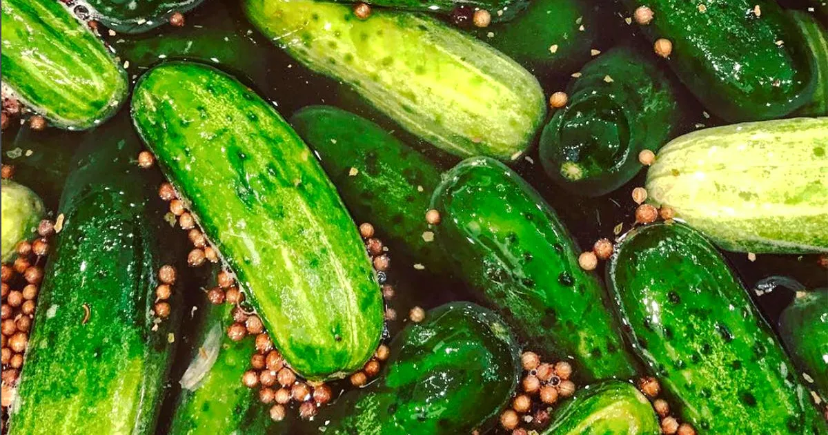 Choose Your Own Classic Pickles - 1 Gallon by The Pickle Guys | Goldbelly