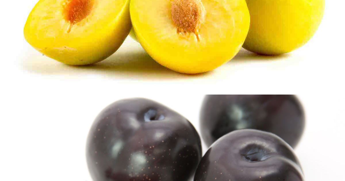 Season’s Best Plum Sampler - 3 lbs. by Melissa's Produce | Goldbelly