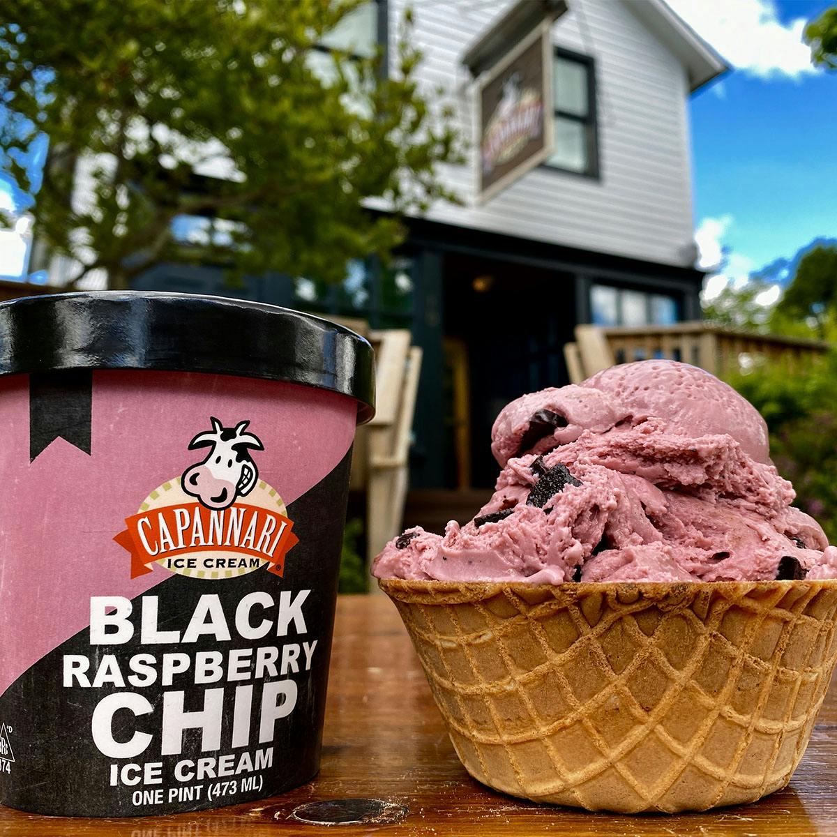 Black Raspberry Ice Cream