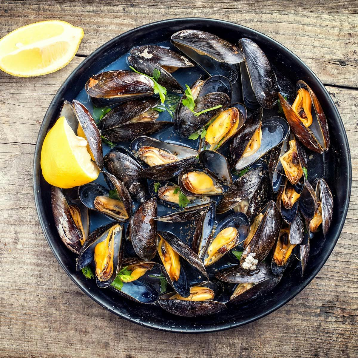 Live Mussels
