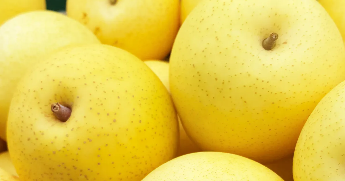 "New Pear" Asian Pear Gift Box by Subarashii Kudamono Asian Pears ...