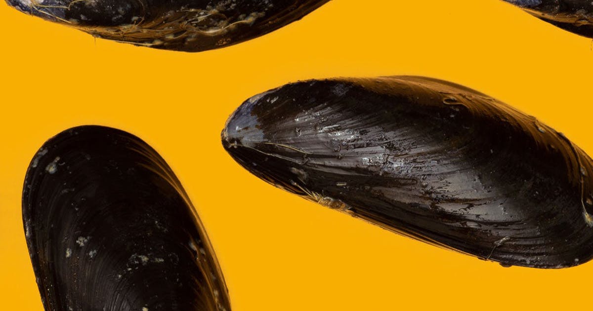 PEI Mussels - 2 lbs. by Aqua Best | Goldbelly