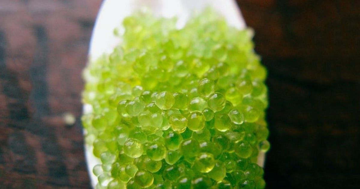 Wasabi Infused Flying Fish Roe by Russ & Daughters | Goldbelly