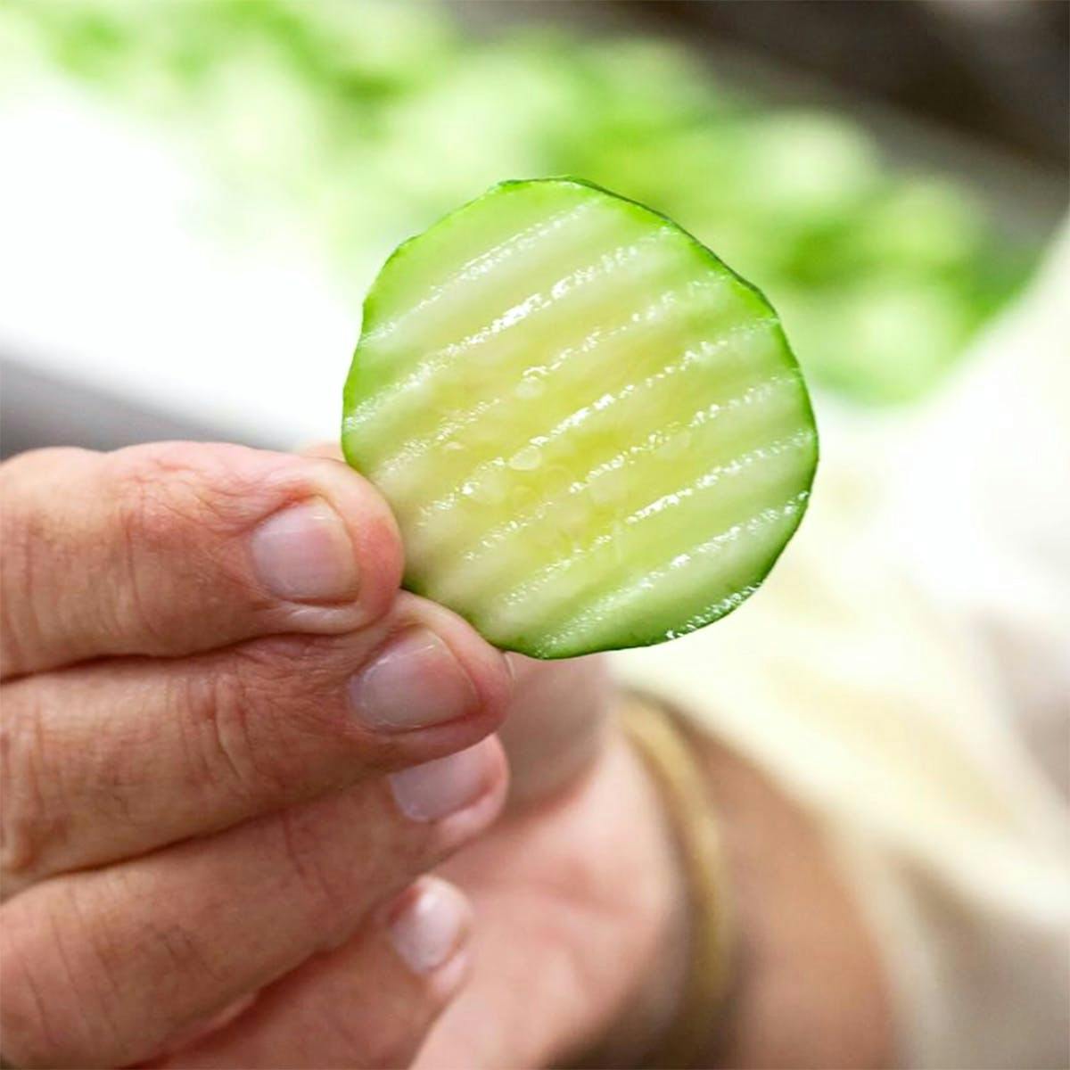 Kosher Dill Crinkle Cut Chips - 1 gallon by Guss' Pickles | Goldbelly